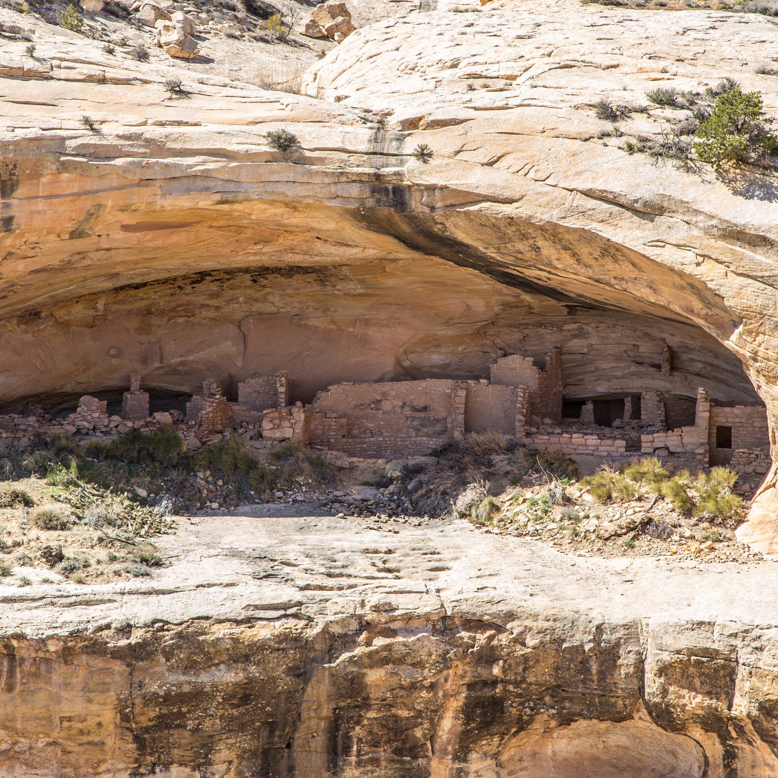 Butler Wash Ruins - GREAT SPOT TO LEARN ABOUT BEARS EARS.