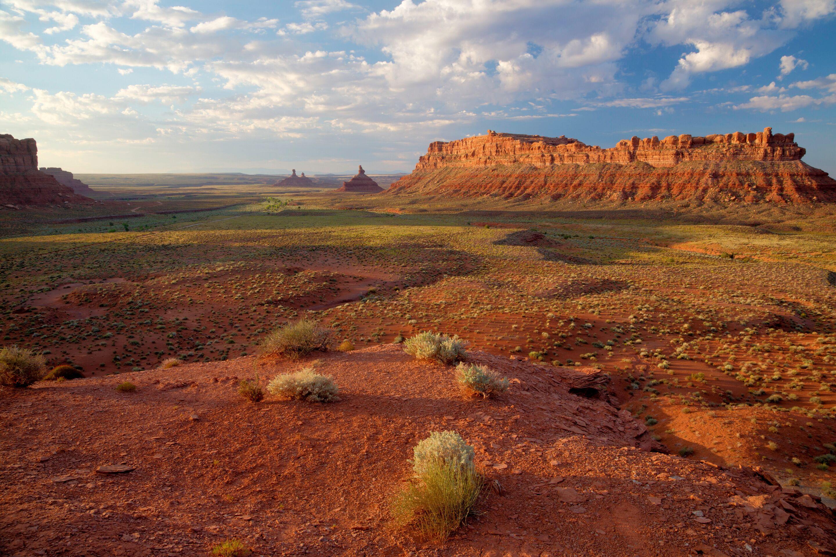 Muley Point | Scenic Overlook | Utah's Canyon Country