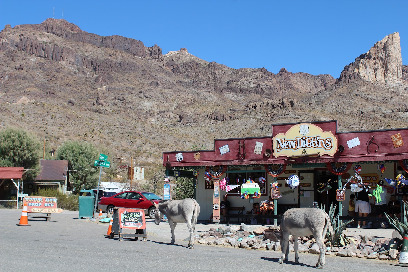 Oatman - Kingman Tourism