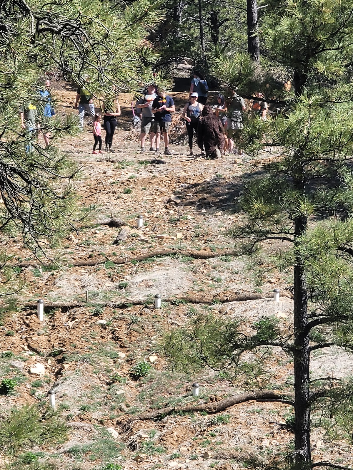 Hualapai Mountain Park - Kingman Tourism