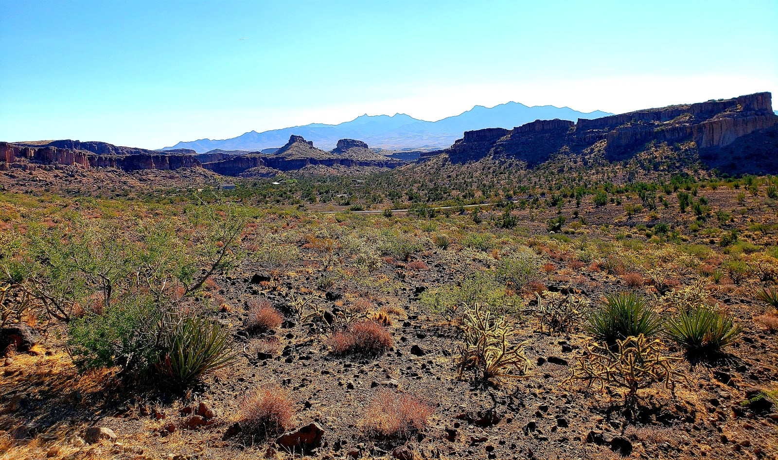 Camp Beale Loop Trail