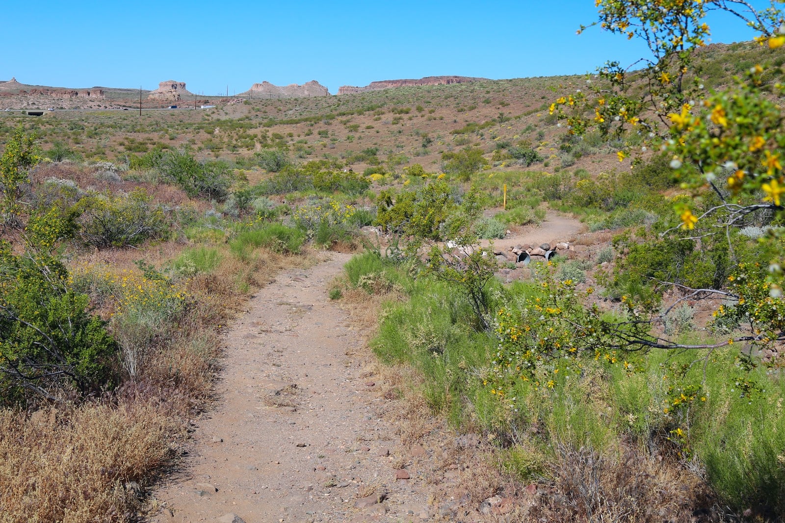 Camp Beale Loop Trail