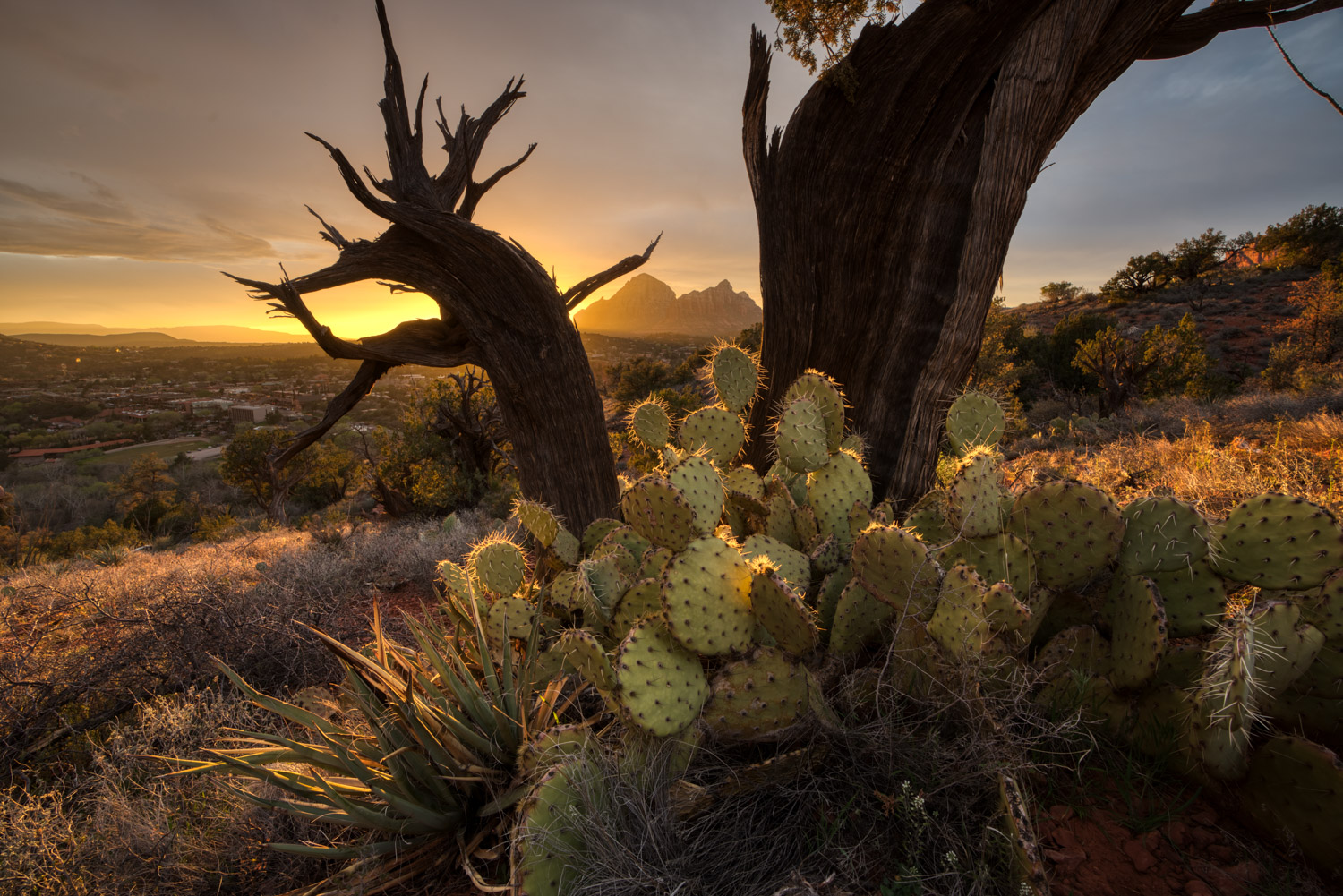Todd Frame Gallery - Sedona, Arizona