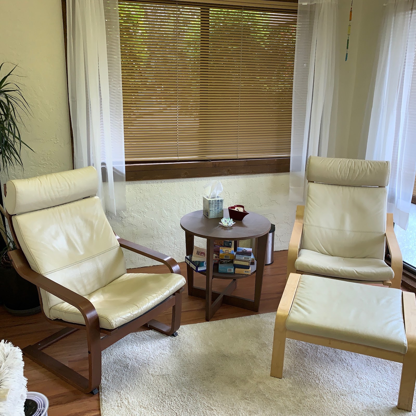 Cynthia Beck, Master Hypnotist - Sedona, Arizona