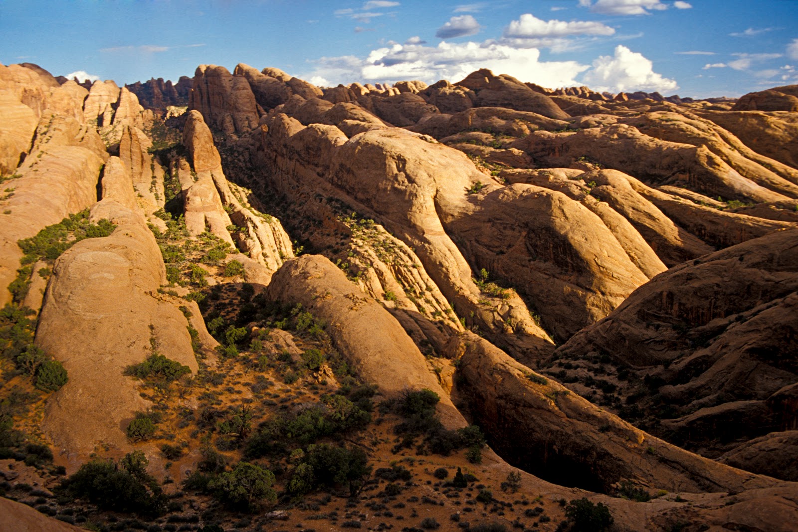 Behind the Rocks Trail