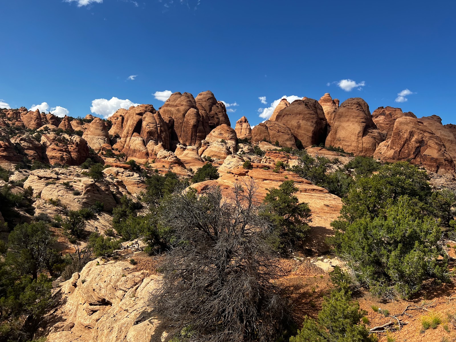 Behind the Rocks Trail