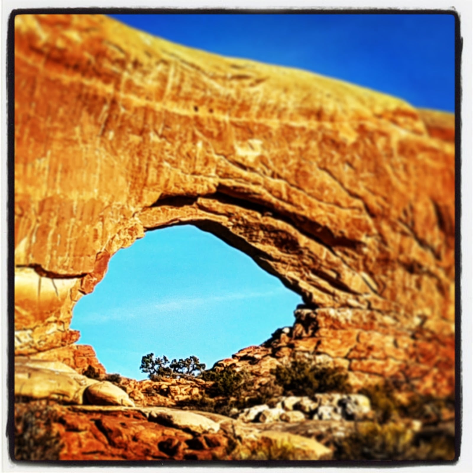 Wilson Arch