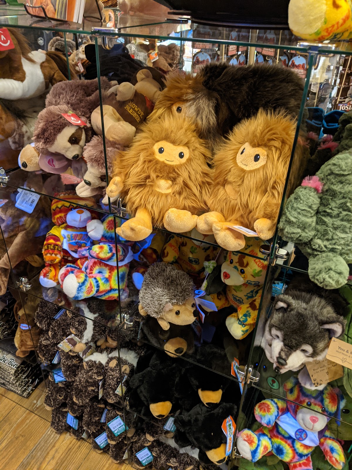 Cactus Carlos I - Sedona, Arizona