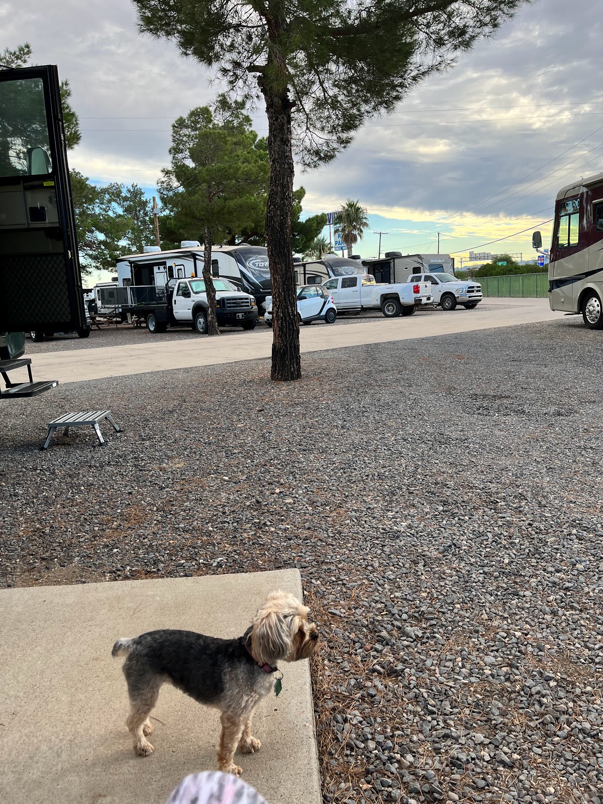 Sunrise RV Park - Kingman Tourism