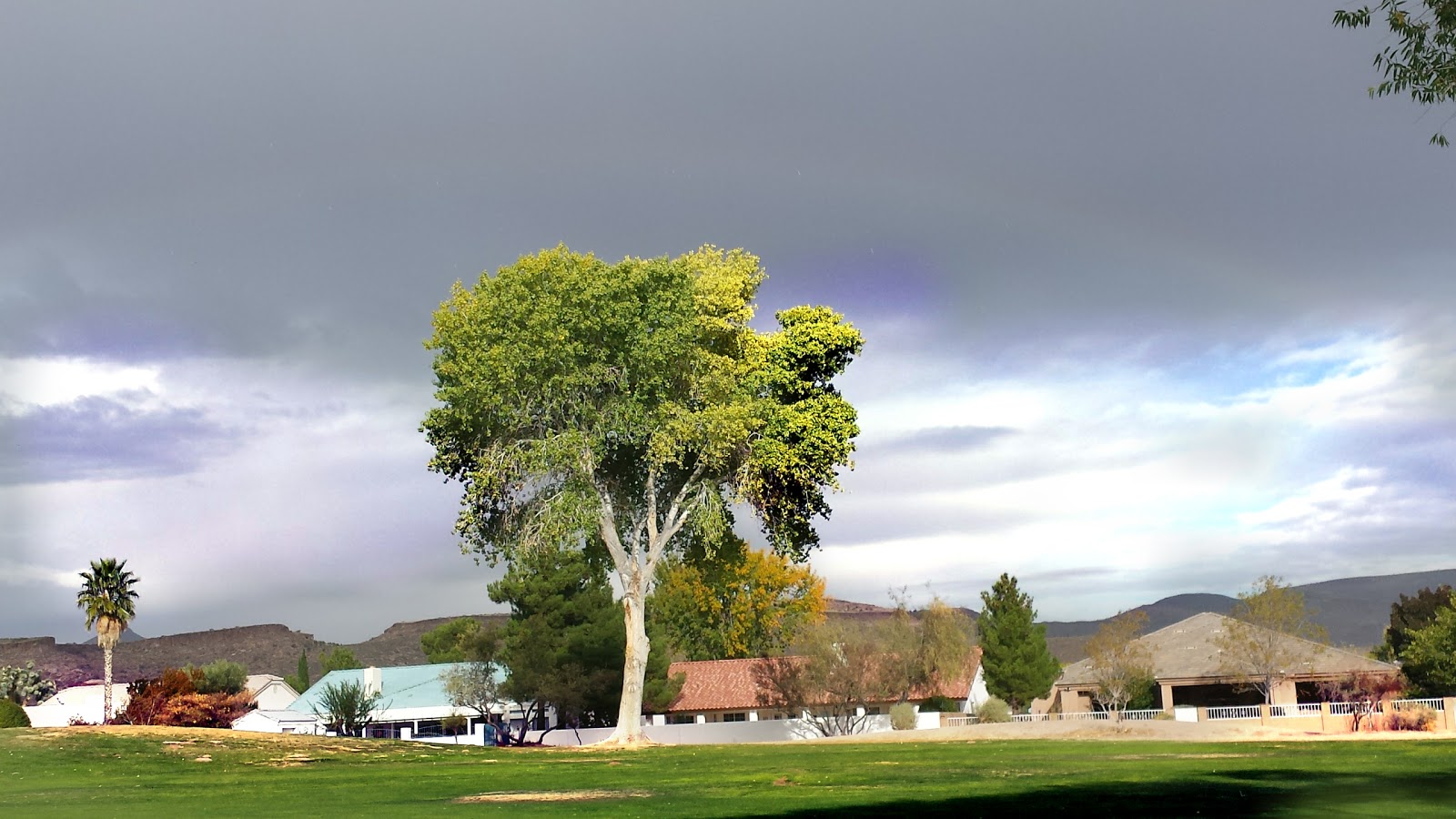 Cerbat Cliffs Golf Course - Kingman Tourism