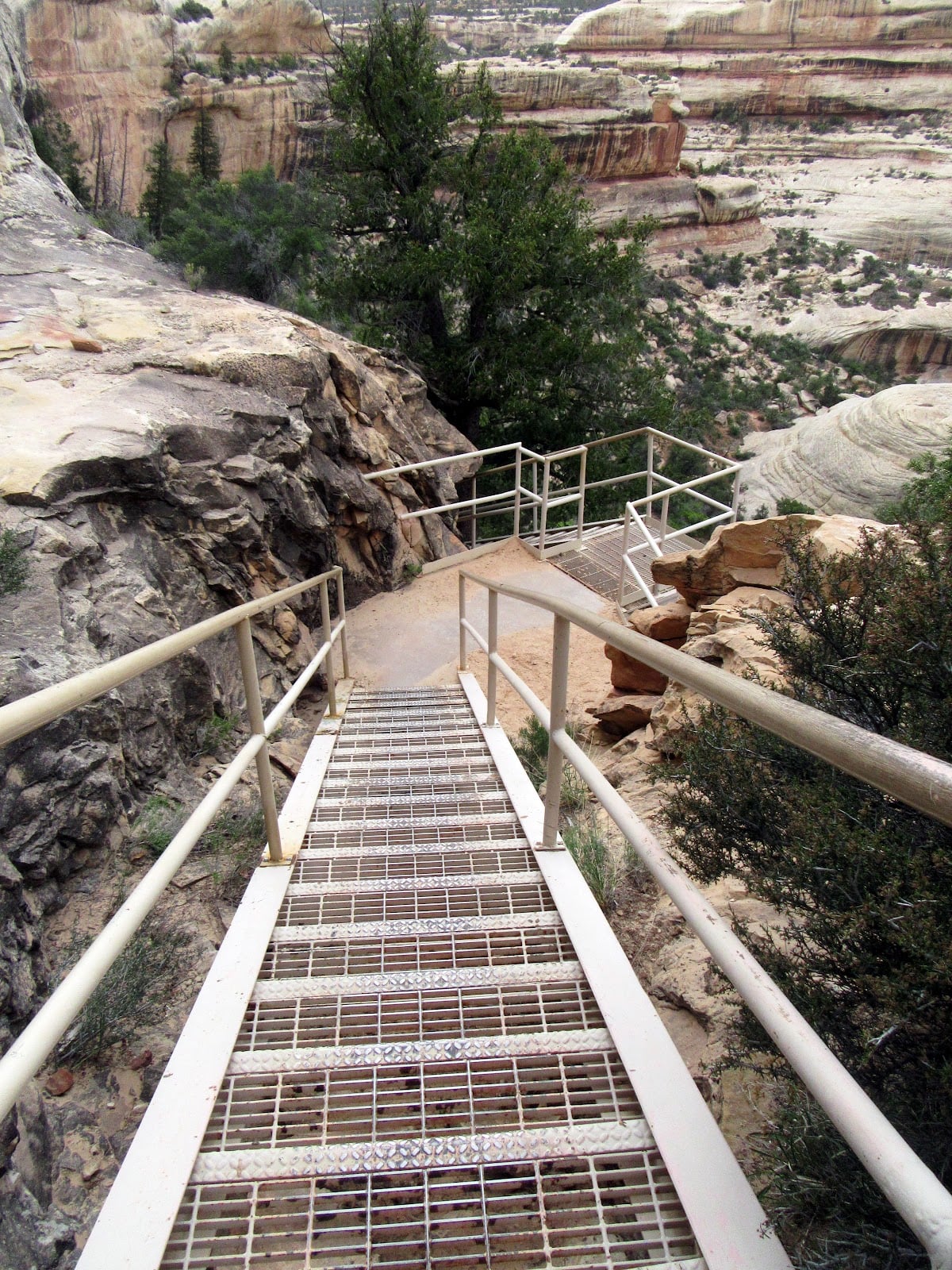 Natural Bridges Loop Trail