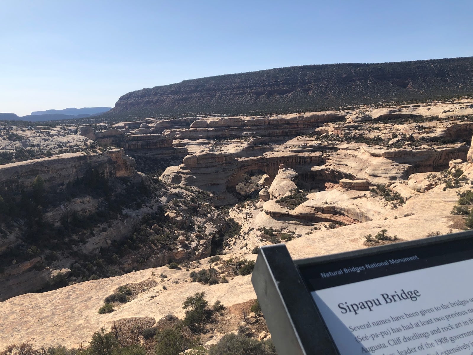 Natural Bridges Loop Trail