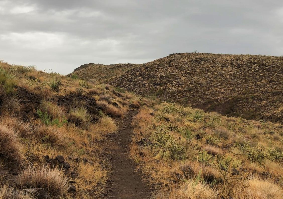 Camp Beale Loop Trail
