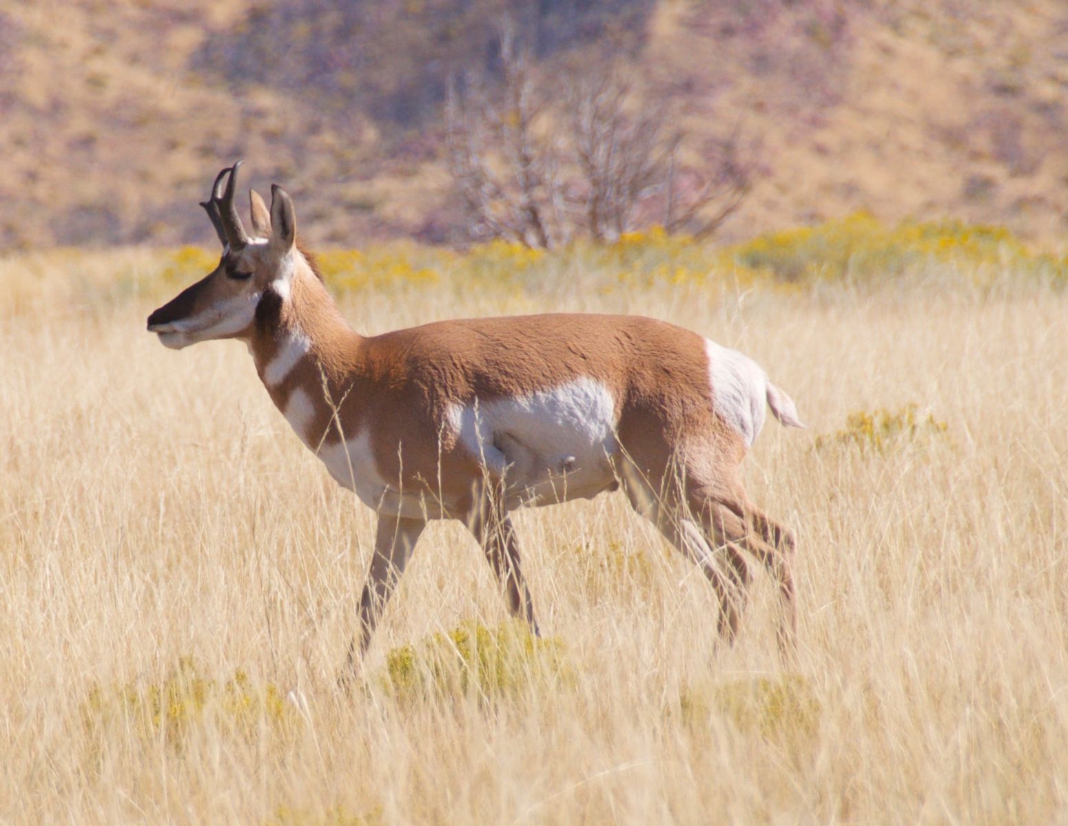 How to Enjoy Fall in Flaming Gorge